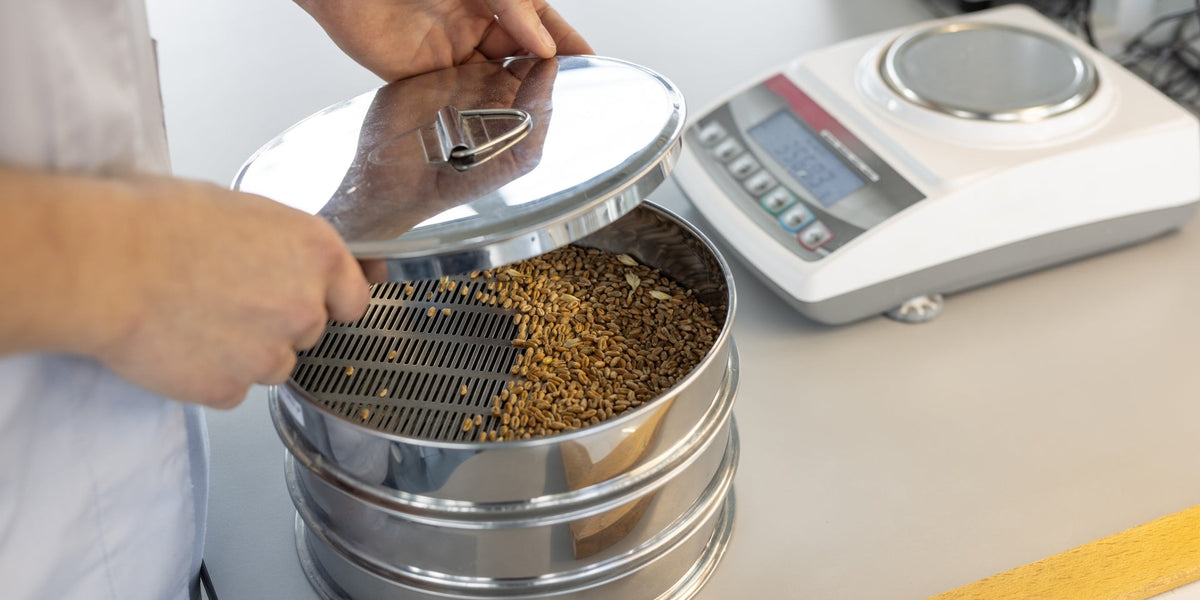 Effective Mobile Business Scale Strategies for Sustainable Growth ...